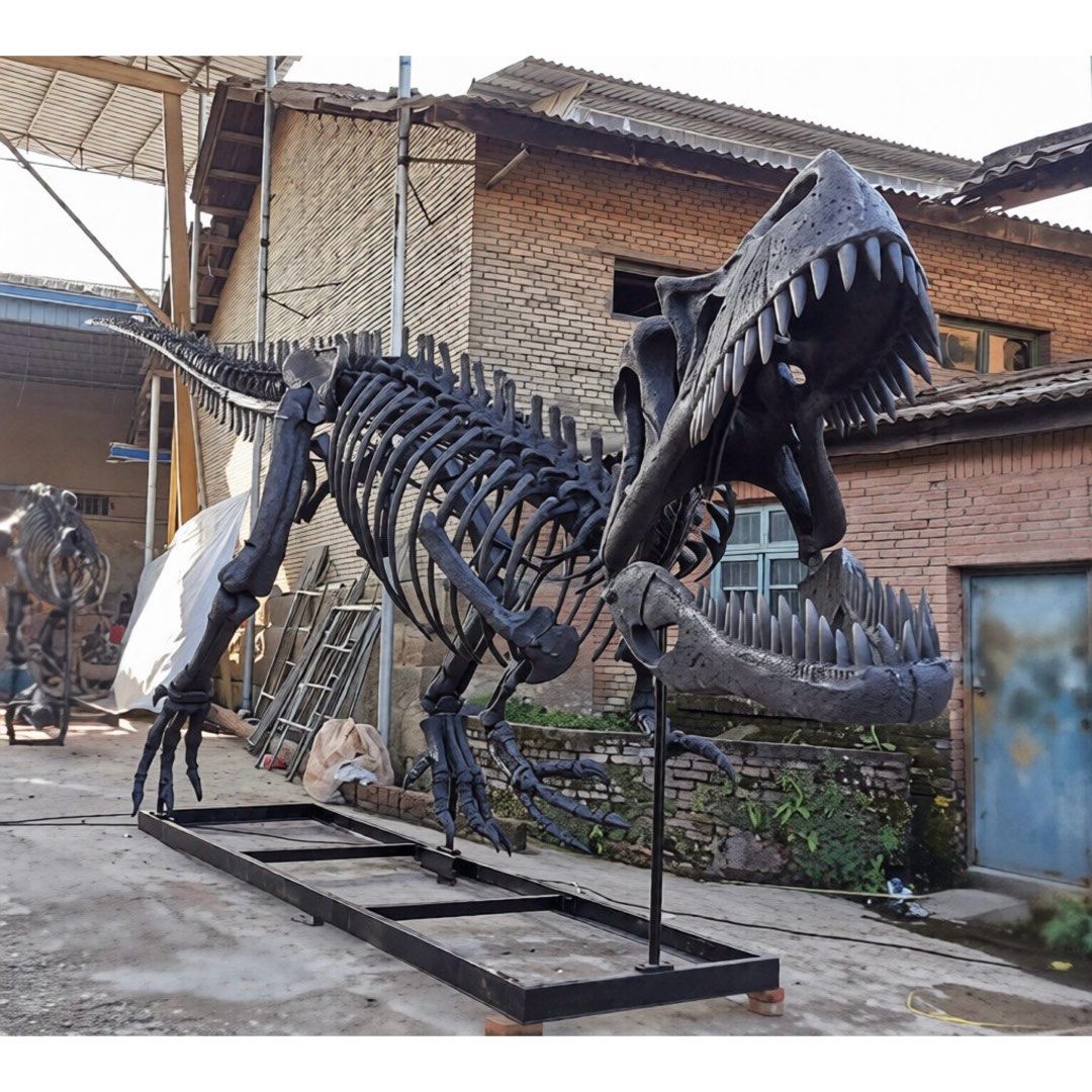 32.8ft 10m Torvosaurus Dinosaur Skeleton Extinct Decoration Display ...