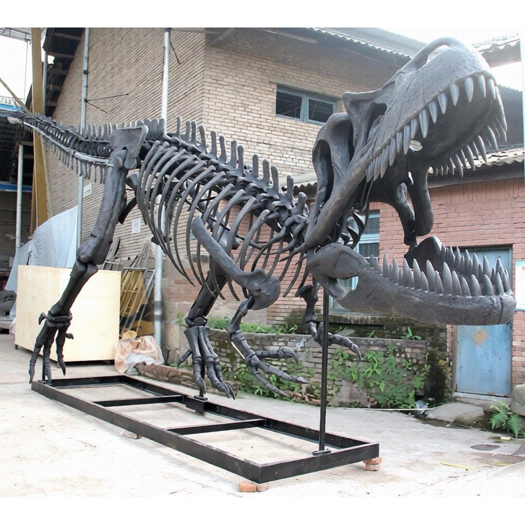 32.8ft 10m Torvosaurus Dinosaur Skeleton Extinct Decoration Display ...