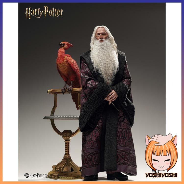 Ag A032D1 - Harry Potter and the Chamber of Secrets - 1/6th Scale Albus ...