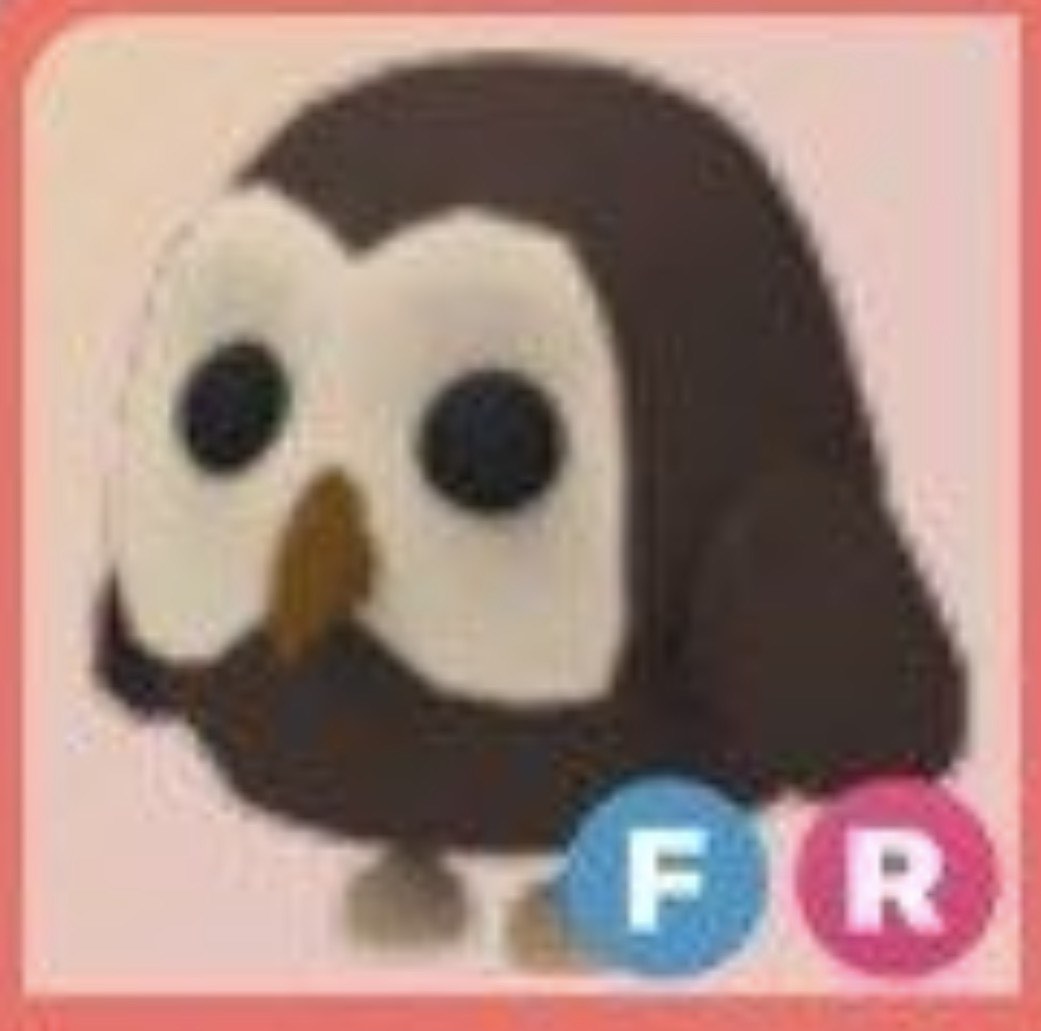 adopt me fly ride owl, Hobbies & Toys, Memorabilia & Collectibles, Fan ...