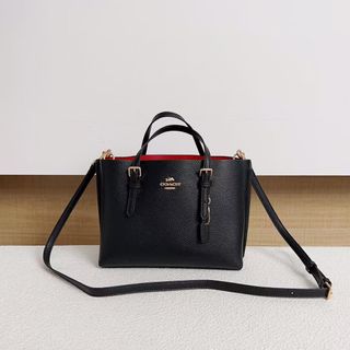 Coach Mini Mollie Tote 25 Snoopy X Coach, Women's Fashion, Bags ...