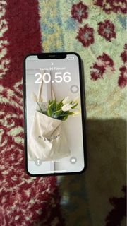 iPhone 11 Series