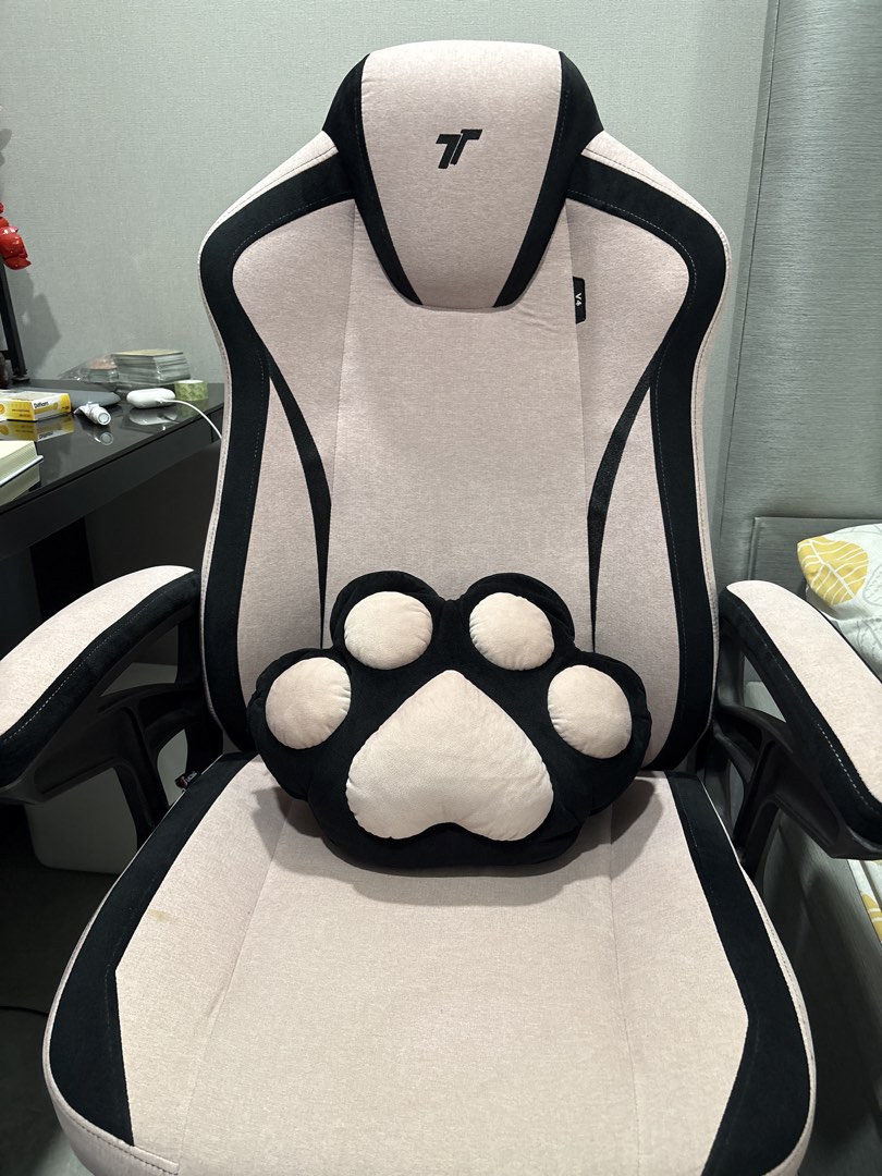 TTRacing Duo V4 Fabric Gaming Chair -Kitty Puff, Furniture & Home ...