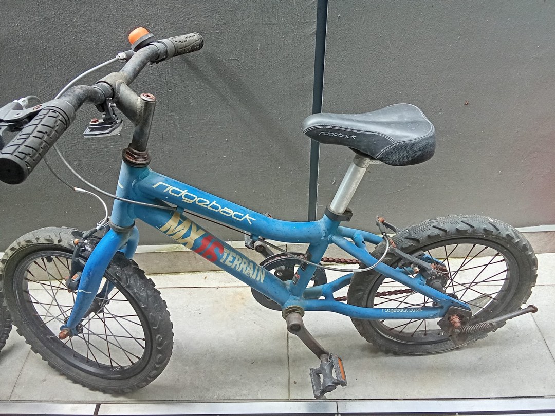 Ridgeback MX Terrain Kids Bike, Sports Equipment, Bicycles & Parts ...