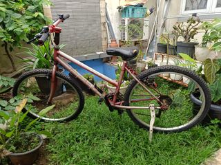 Sepeda federal Dijual | Beli 100+ Sepeda federal online | Carousell ...