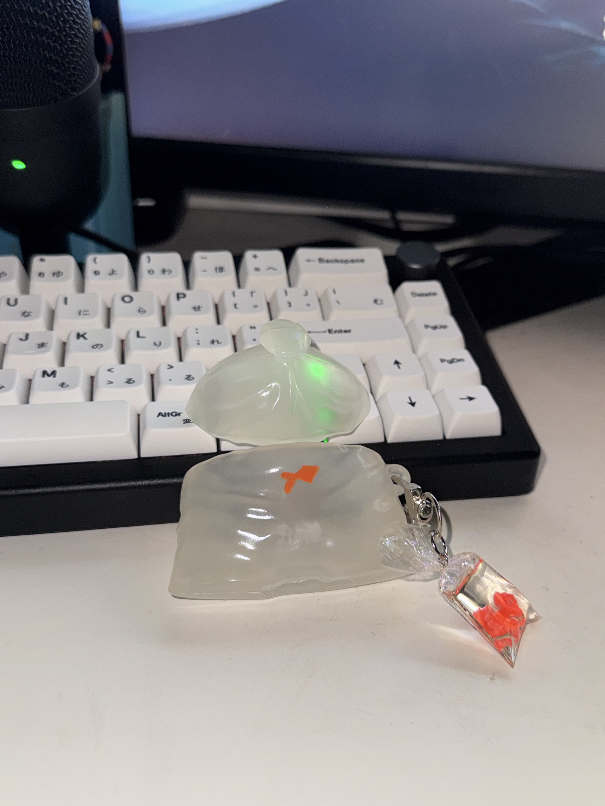 Airpods 4 Goldfish Bag case, Computers & Tech, Parts & Accessories ...