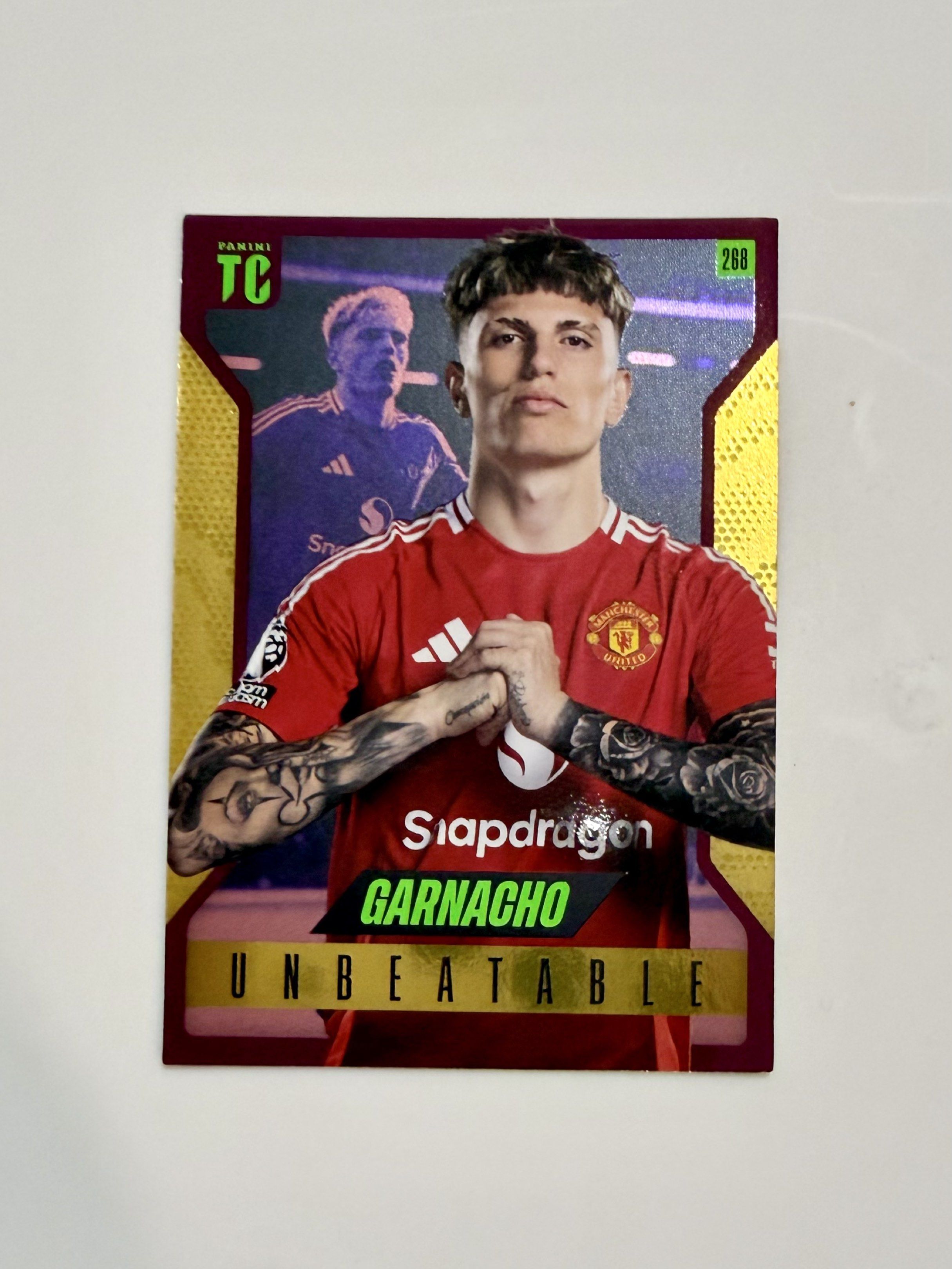 ALEJANDRO GARNACHO Rare Trading Card + FREE CARD, Hobbies & Toys, Toys ...