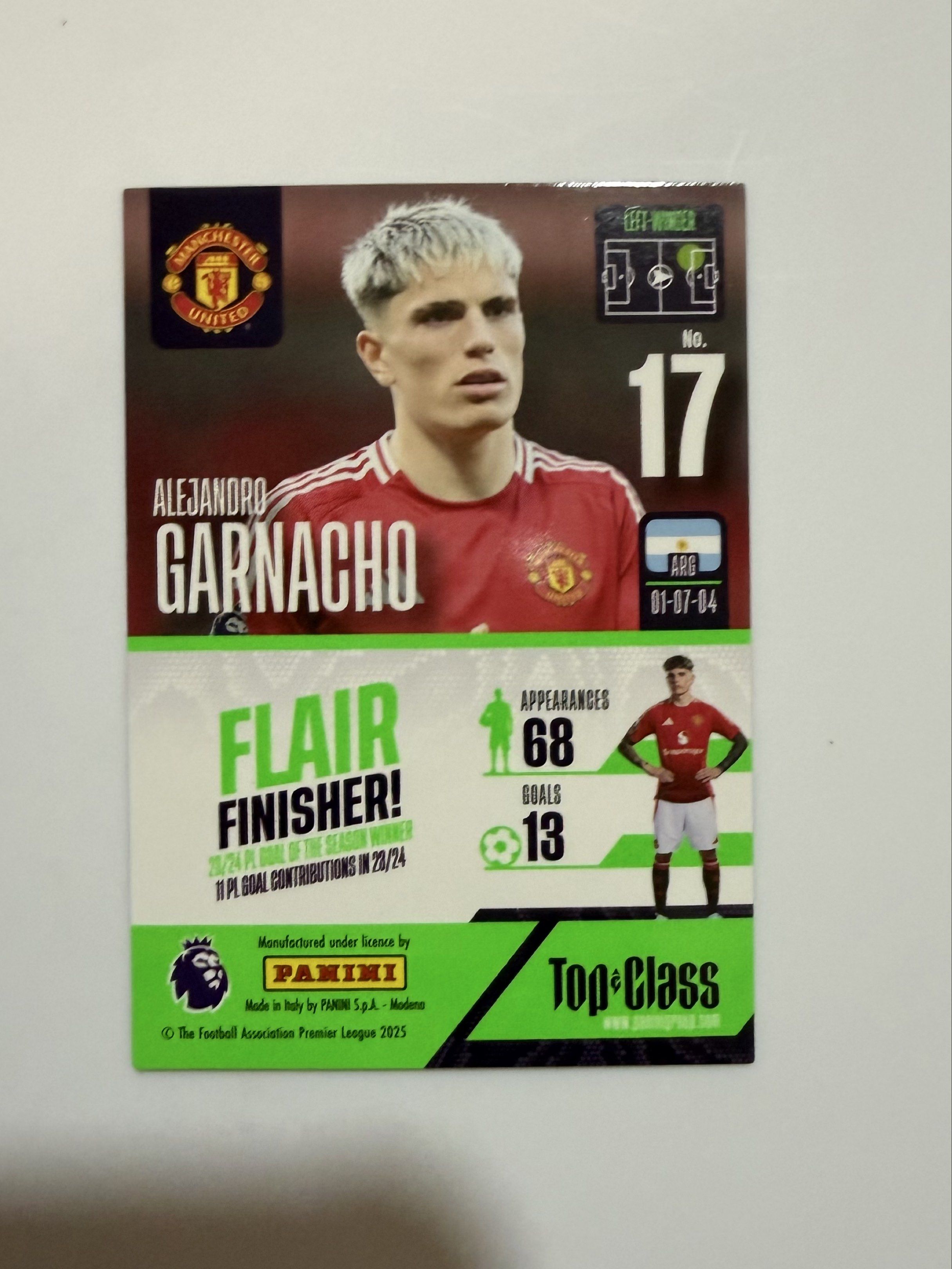 ALEJANDRO GARNACHO Rare Trading Card + FREE CARD, Hobbies & Toys, Toys ...
