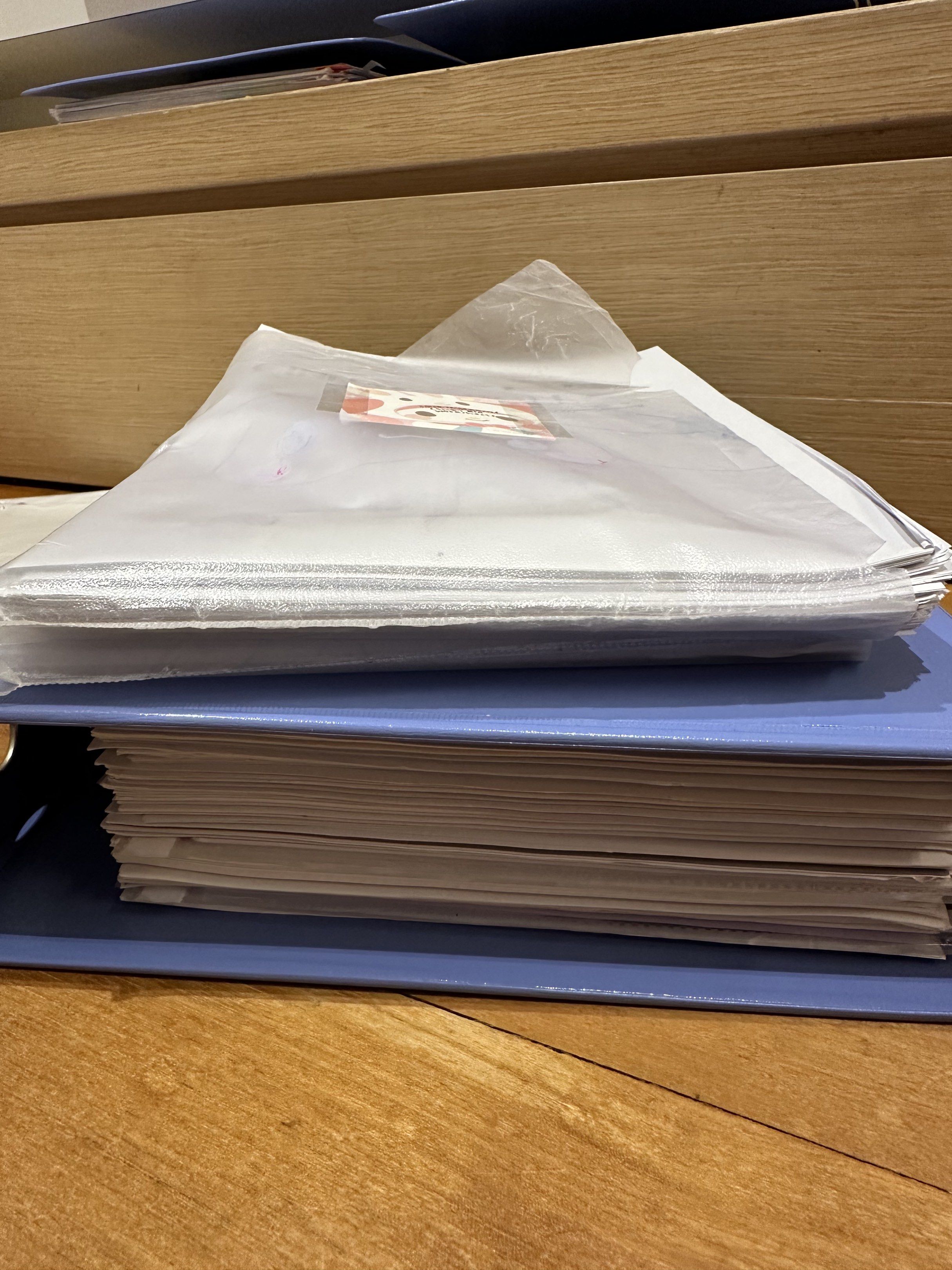 IB Bio SL hard copy + soft copy bundle‼️(notes, worksheets, past papers ...