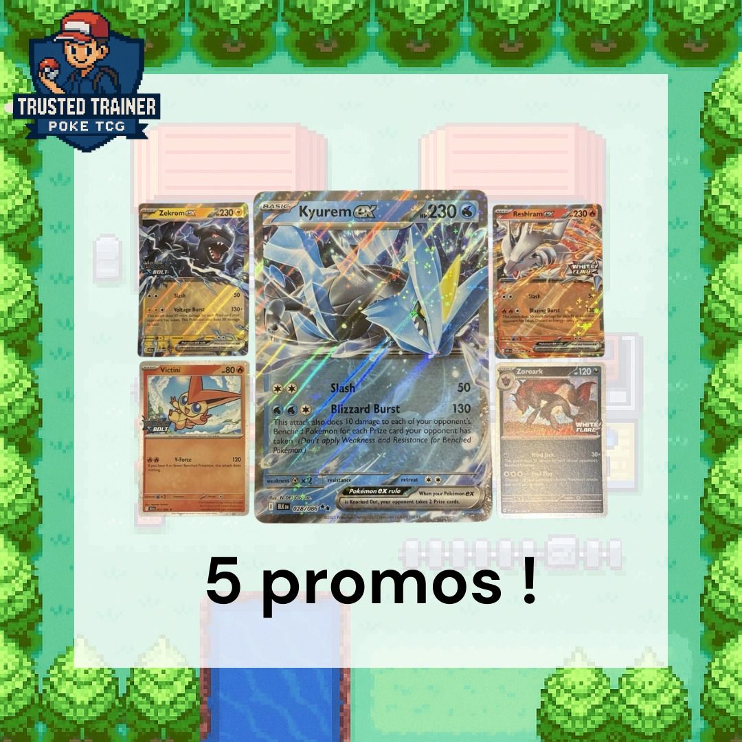 Pokemon TCG: Unova Heavy Hitters (6 Black Bolt + 6 White Flare + 5 ...