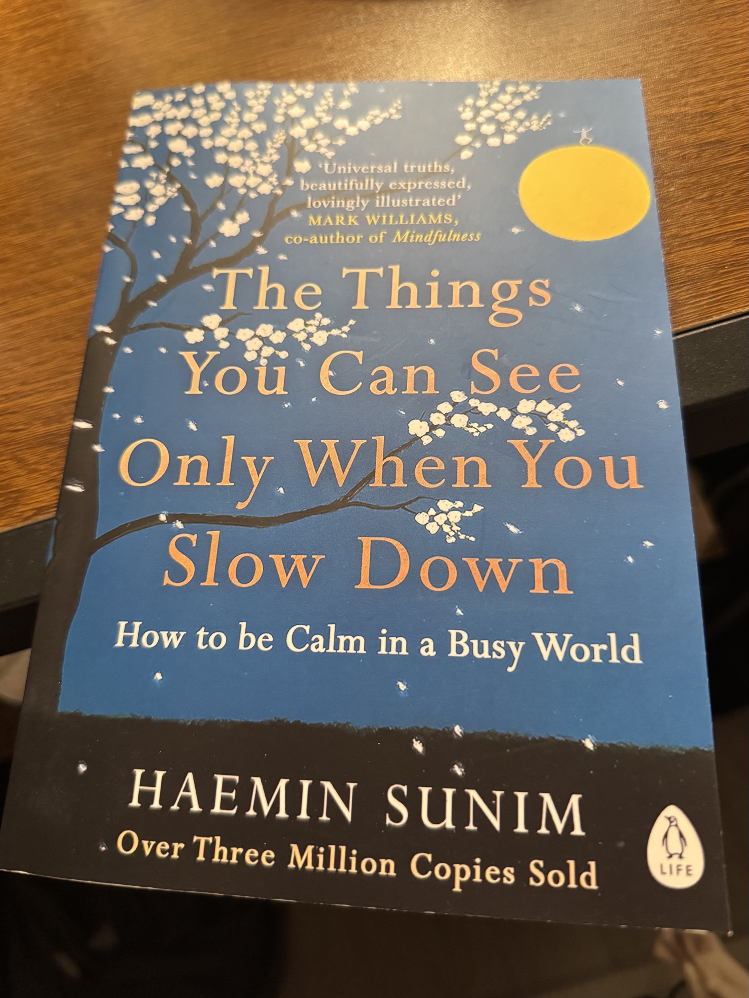 《The Things You Can See Only When You Slow Down》, 興趣及遊戲, 書本 & 文具, 小說及非 ...