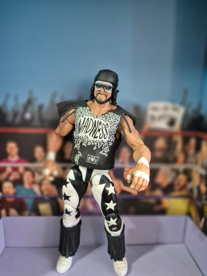 WWE Macho Man Randy Savage Action Figure, Hobbies & Toys, Toys & Games ...