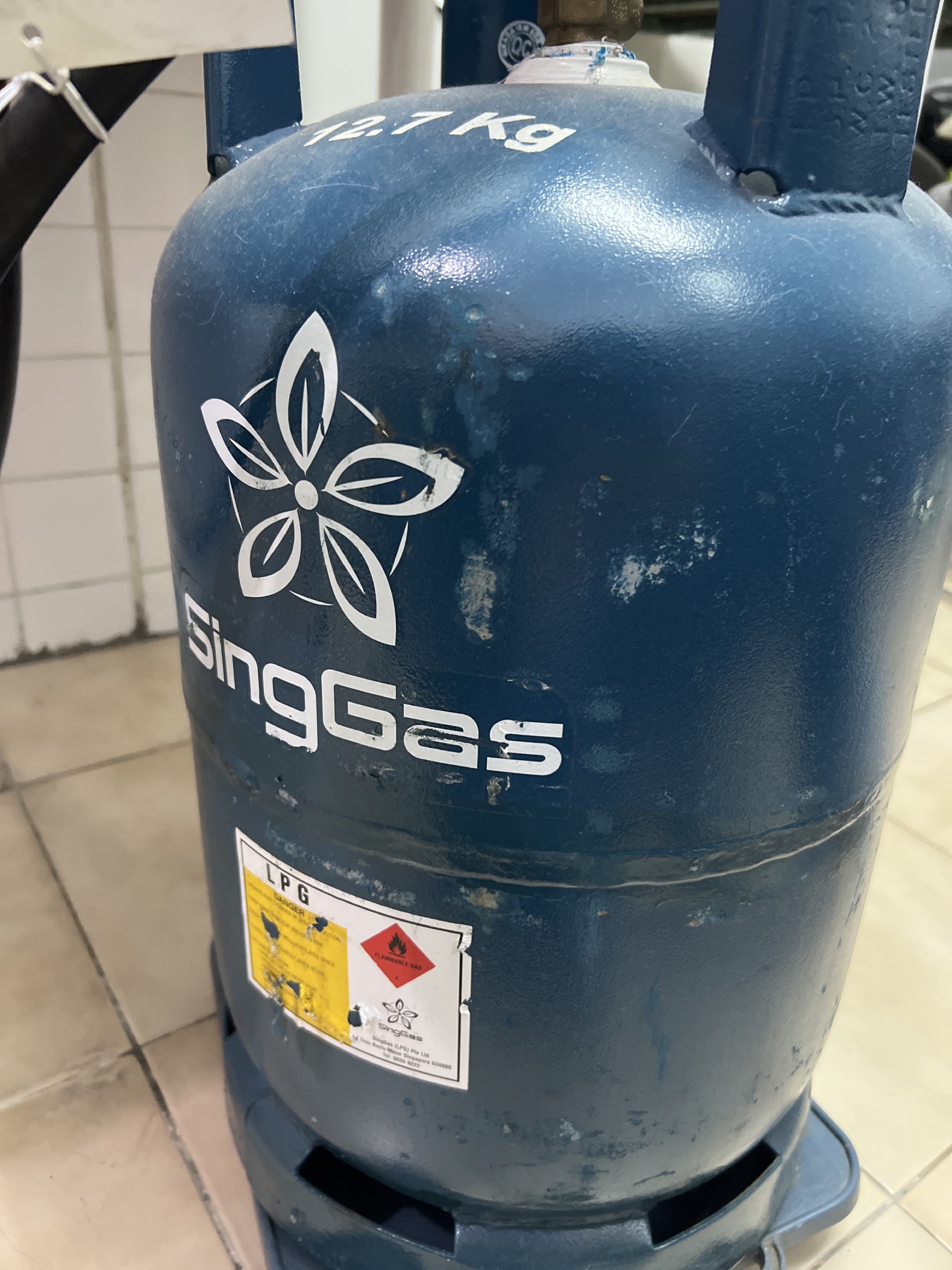 SingGas LPG Gas Cylinder with Regulator, TV & Home Appliances, Kitchen ...