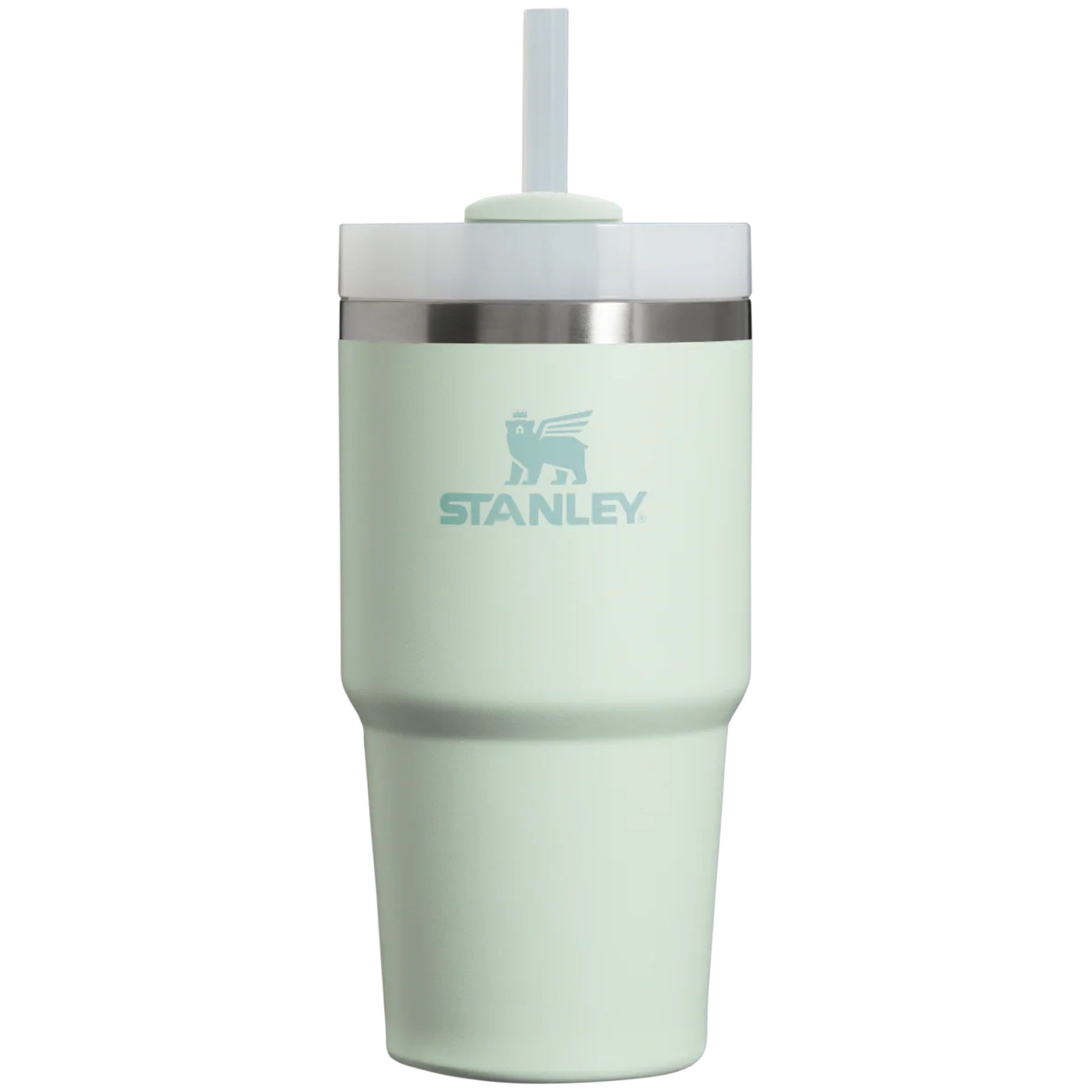 Stanley Tumbler - Mint, Furniture & Home Living, Kitchenware ...