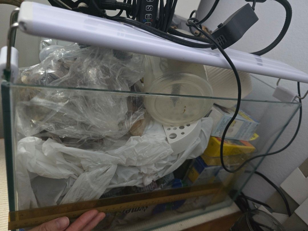 40cm length Glass Aquarium Tank - Curved Corners, Pet Supplies, Homes ...