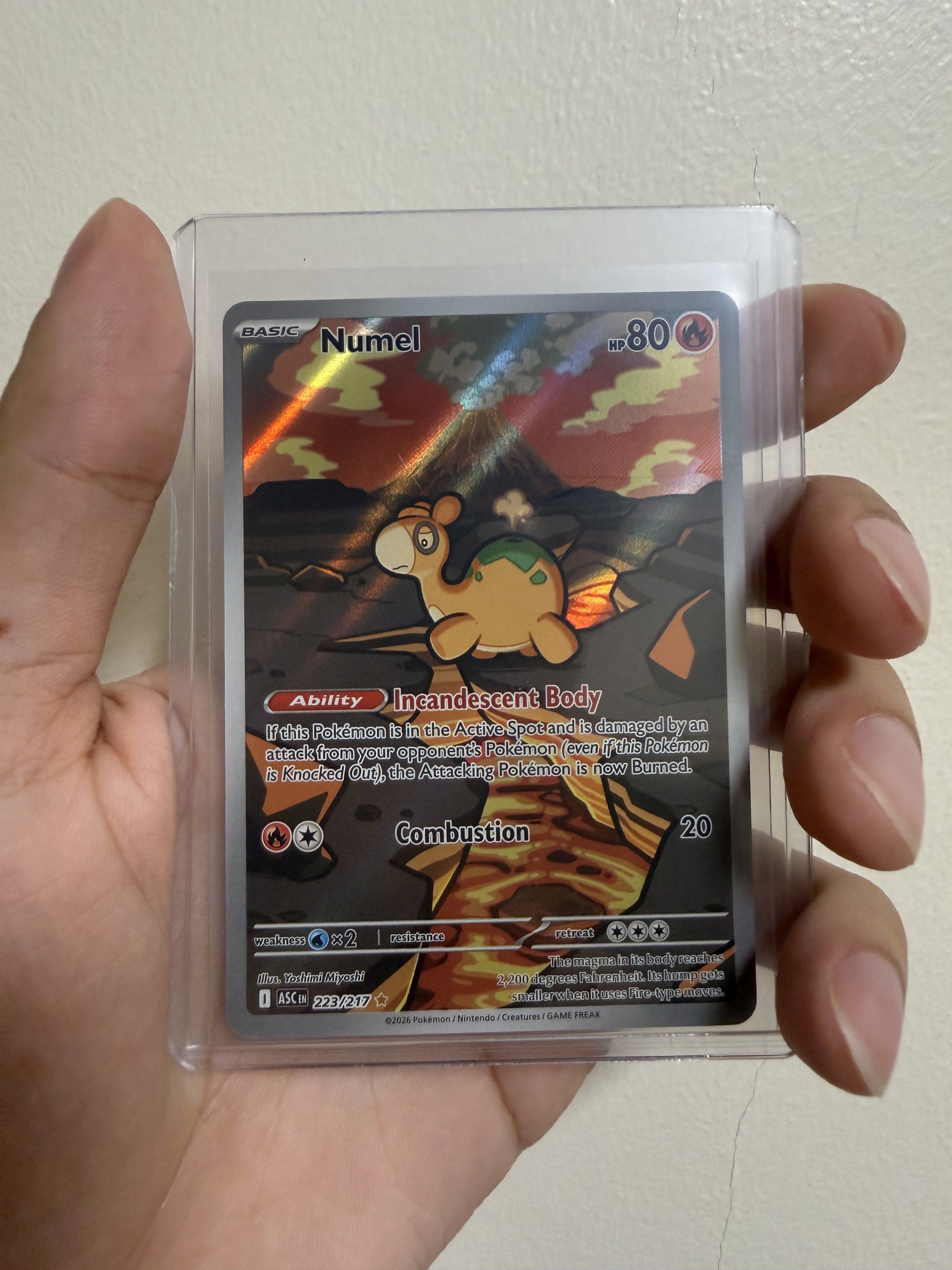 Numel IR 223/217 - Ascended Heroes Pokemon Card, Hobbies & Toys, Toys ...