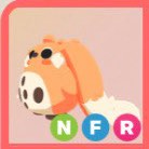adopt me | nfr cabbit $40 |mfr cabbit $165, Video Gaming, Gaming ...