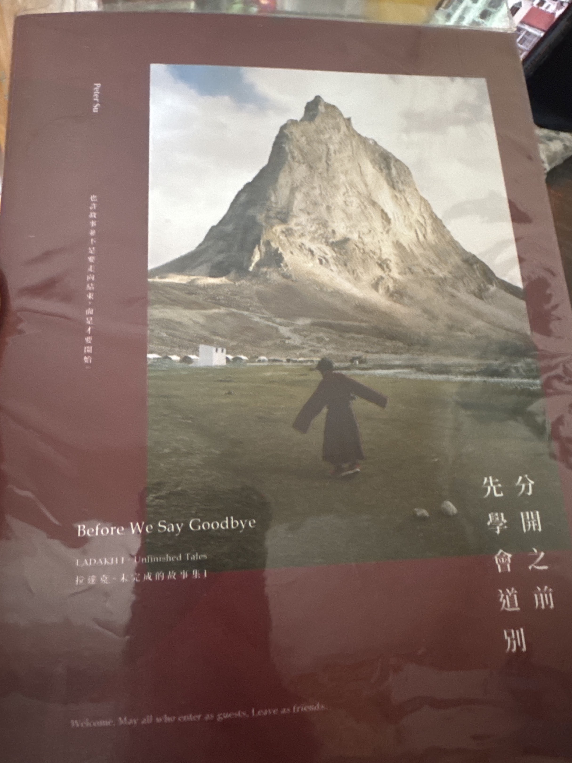Peter Su 離開之前先學會道別, Hobbies & Toys, Books & Magazines, Storybooks on ...