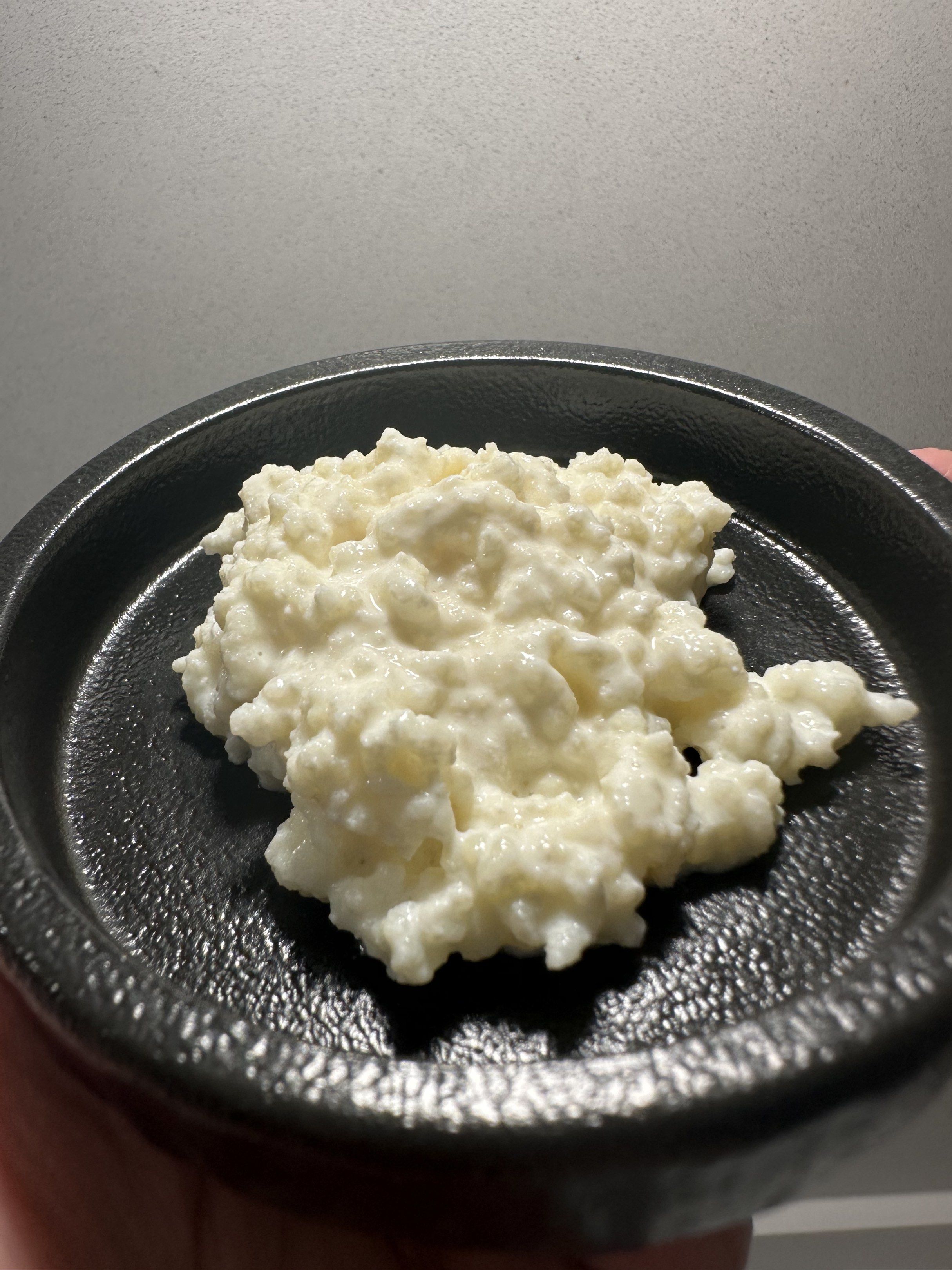 Strong and active Kefir grains, Food & Drinks, Other Food & Drinks on ...