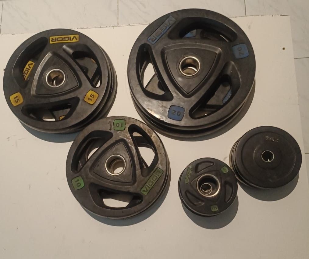 Vigor Weight Plates - Various Sizes, Sports Equipment, Exercise ...