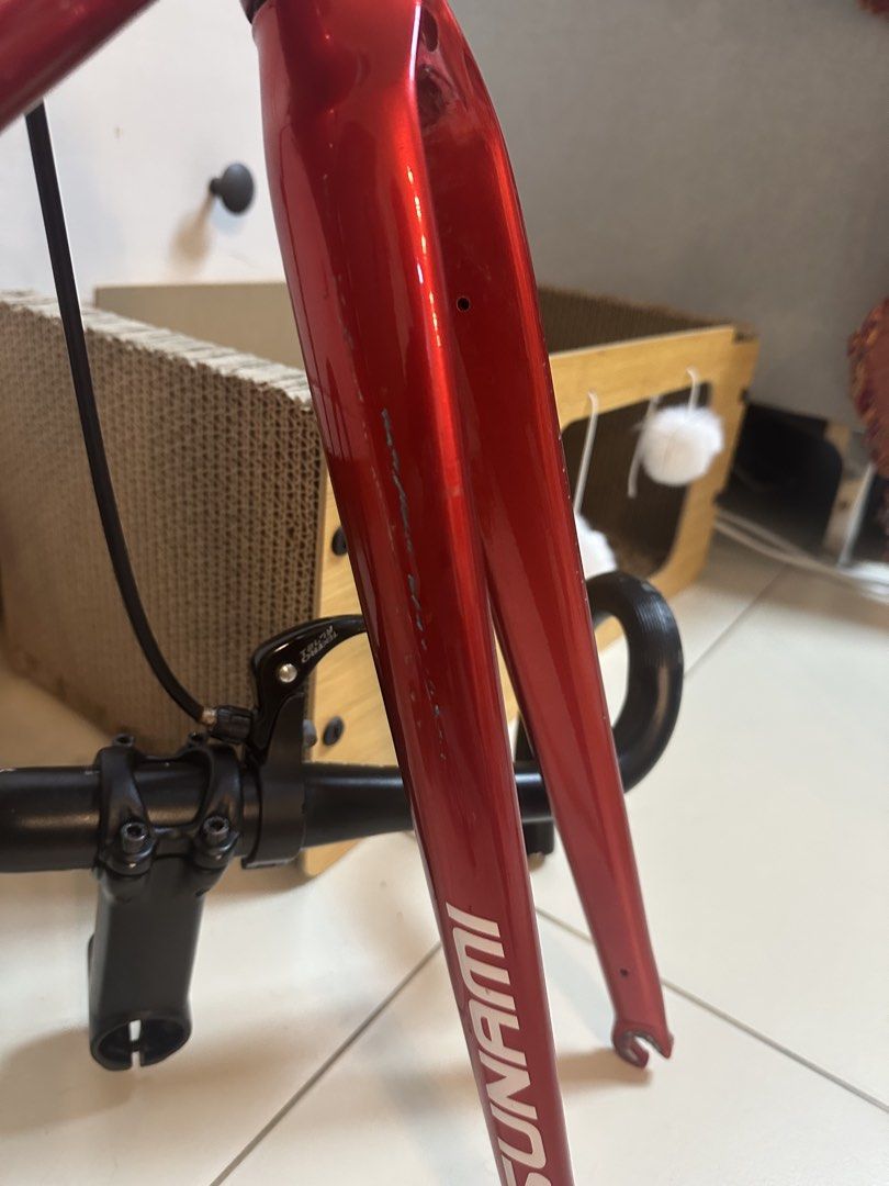Tsunami SNM100 Red Fixed Gear Bike Frame, Sports Equipment, Bicycles ...