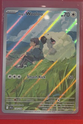 Hop's Wooloo IR Journey Together Pokemon Card Tcg, Hobbies & Toys, Toys ...