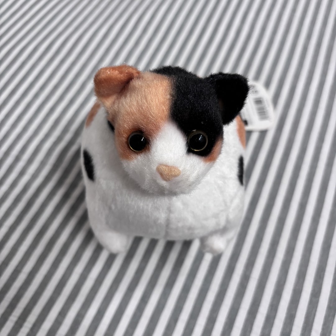 Fatty Zoo Stuffed Calico Cat Plush, Hobbies & Toys, Toys & Games on ...