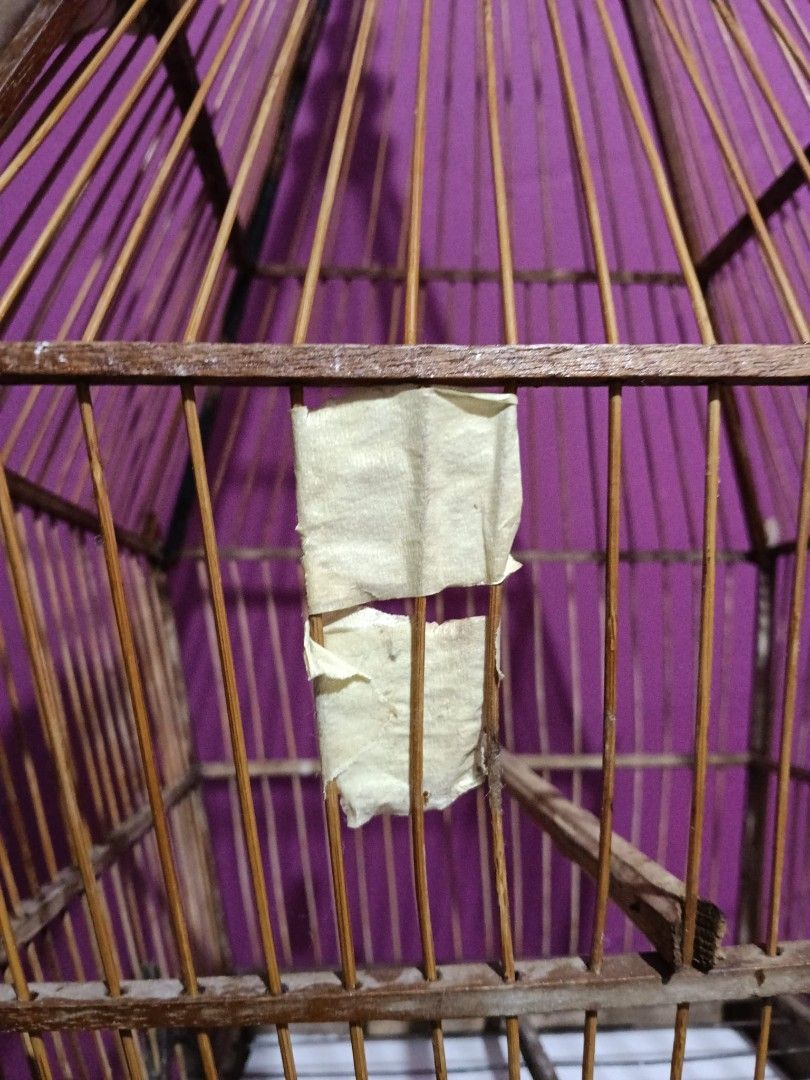 Vintage Wooden Bird Cage old jambul cage, Pet Supplies, Homes & Other ...