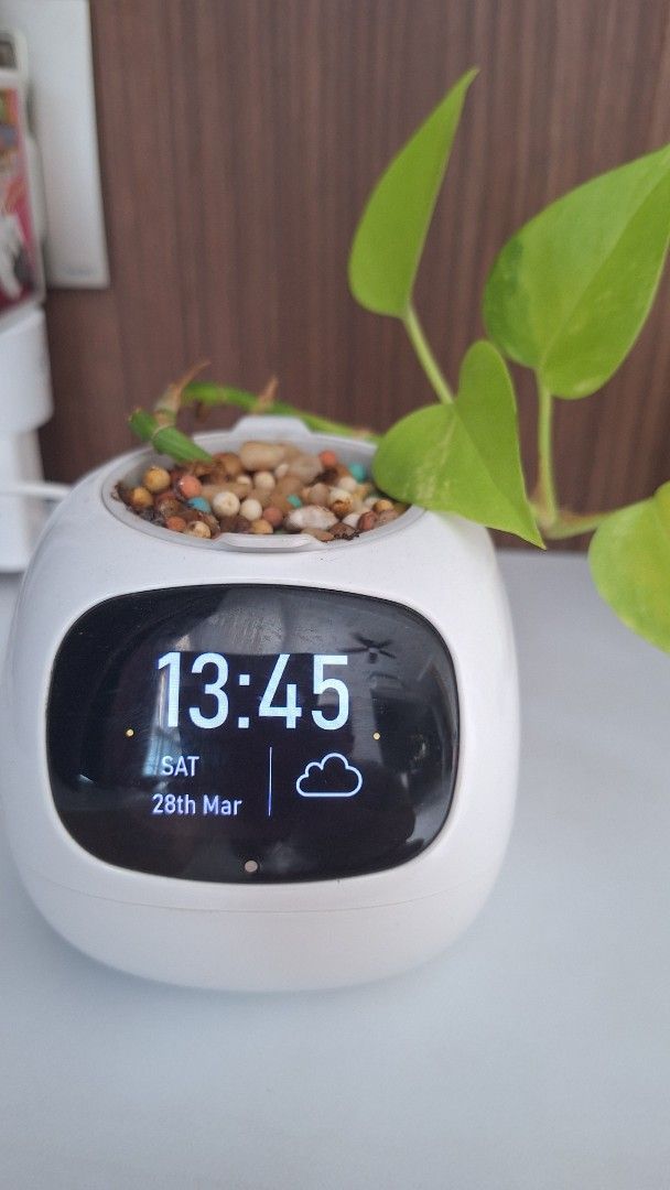 Smart flower pot | Smart pet Planter Robot | Guidance on Plant Care ...