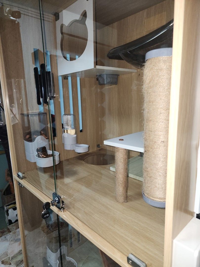 Custom Cat Enclosure with Accessories 2 Story, Pet Supplies, Homes ...