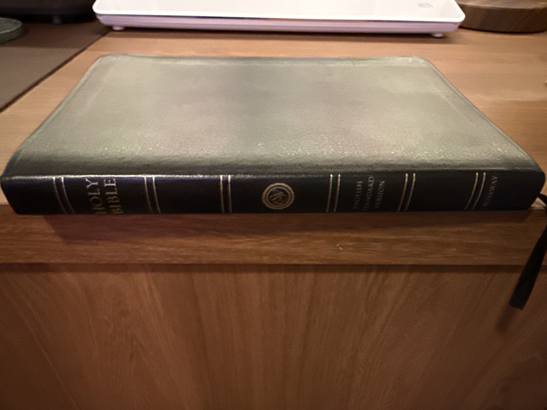Crossway Holy Bible - English Standard Version, Hobbies & Toys, Books ...