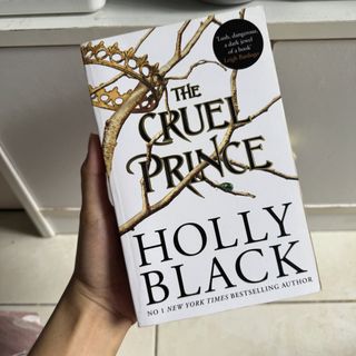 The cruel prince and the wicked king, Hobbies & Toys, Books & Magazines ...