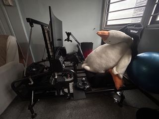 Moza R9 Racing Simulator cockpit with Monitor, Video Gaming, Gaming ...