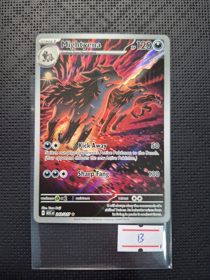 Pokemon Mightyena IR Ascended Heroes 243/217 English Card, Hobbies ...