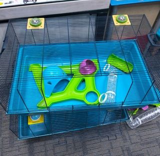 Hamster Sand Bath House - Large Size, Pet Supplies, Homes & Other Pet ...