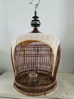Bird Box for hatching, Pet Supplies, Homes & Other Pet Accessories on ...