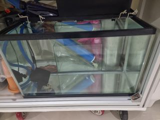 Custom Acrylic Aquarium Sump, Pet Supplies, Homes & Other Pet ...