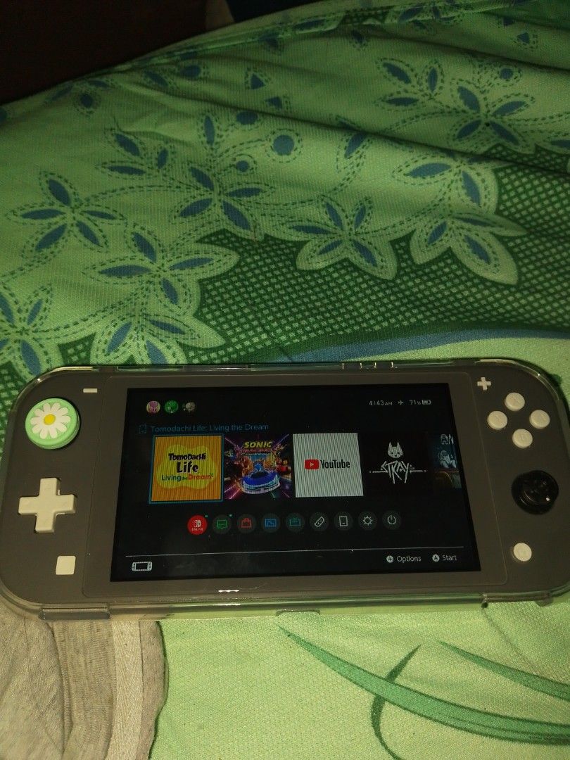 Nintendo switch lite gray, Video Gaming, Video Game Consoles, Nintendo ...