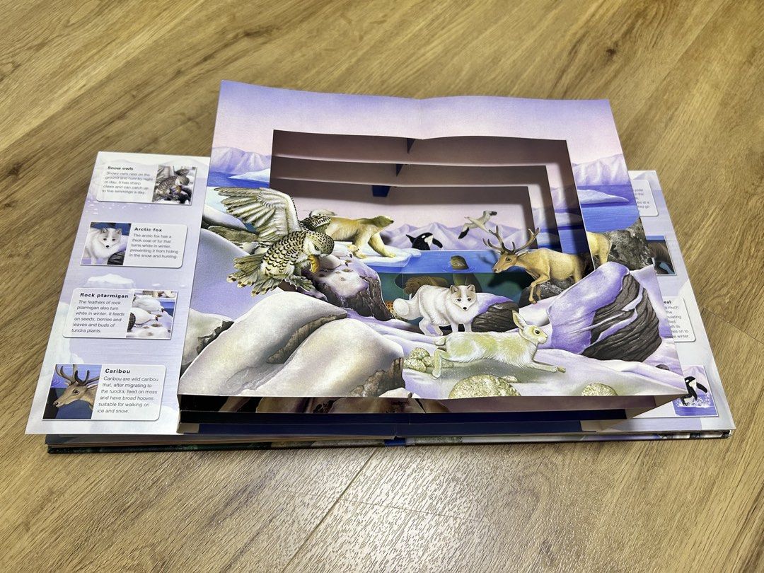 3D Wild Animals Pop-Up Book, Hobbies & Toys, Books & Magazines ...