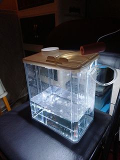 Custom Acrylic Aquarium Sump, Pet Supplies, Homes & Other Pet ...