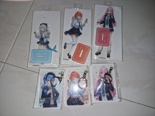 Hololive x Capsule Polaroid Acrylic, Hobbies & Toys, Memorabilia ...