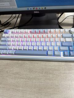 Chiikawa RGB Wireless Custom Gaming Mechanical Keyboard | 100% Layout ...