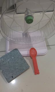 Preloved hamster Dijual | Carousell Indonesia