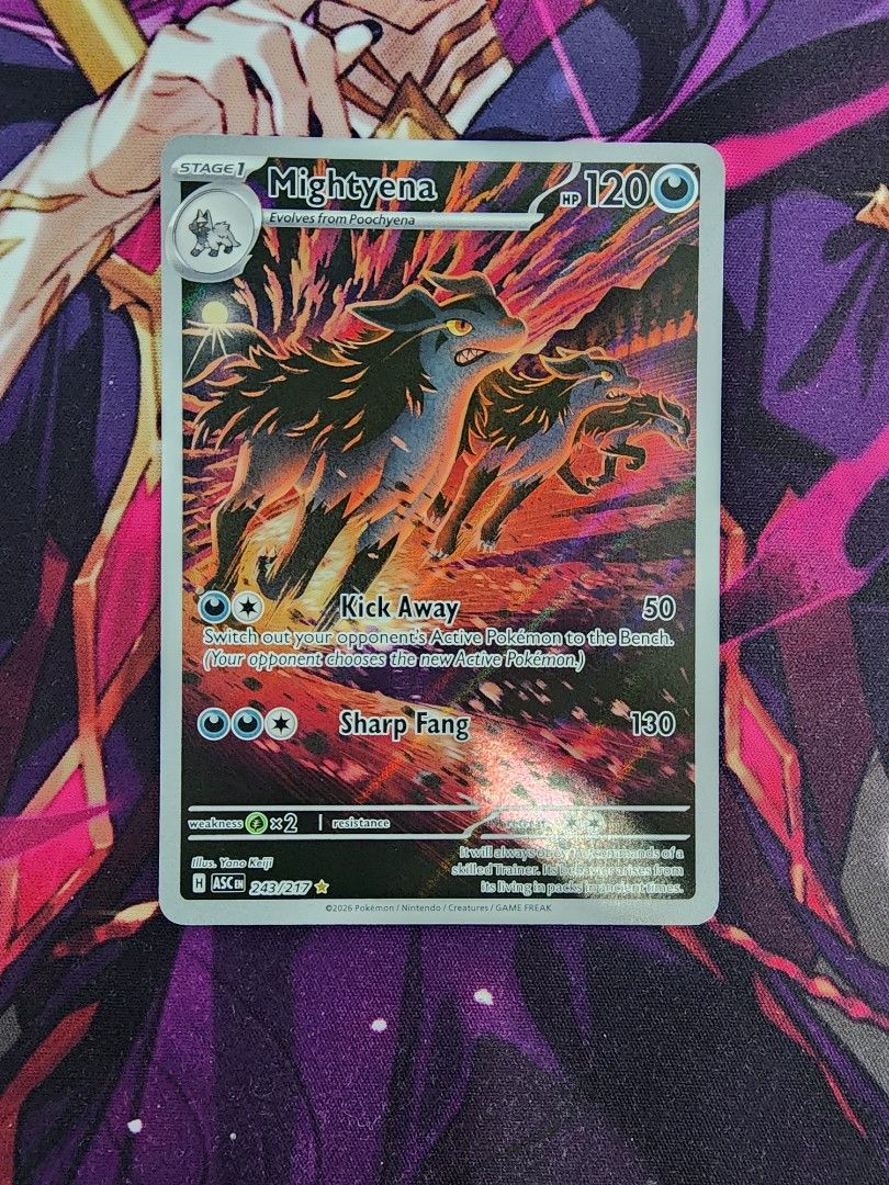 2026 Pokemon Ascended Heroes Mightyena Illustration Rare #243/217 ...