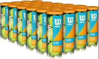 WILSON Sporting Goods Prime All Court Tennis Ball - [Single Can (3 ...