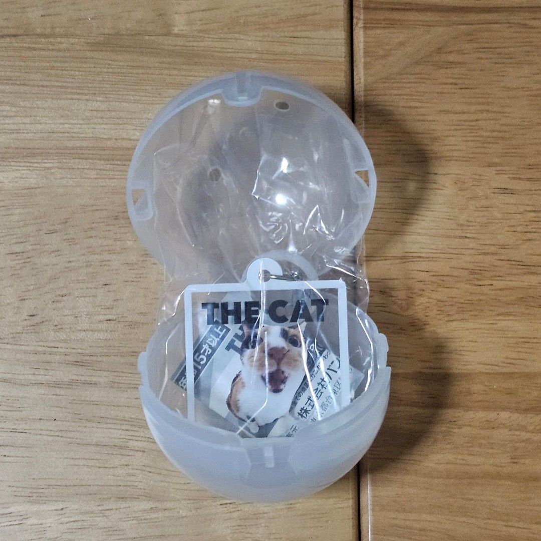 The Cat Gashapon Keychain, Hobbies & Toys, Toys & Games on Carousell