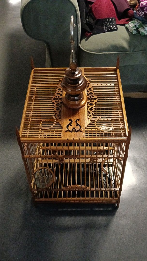 17 stick jambul Thai cage, Pet Supplies, Homes & Other Pet Accessories ...