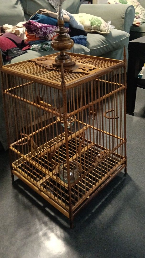 17 stick jambul Thai cage, Pet Supplies, Homes & Other Pet Accessories ...