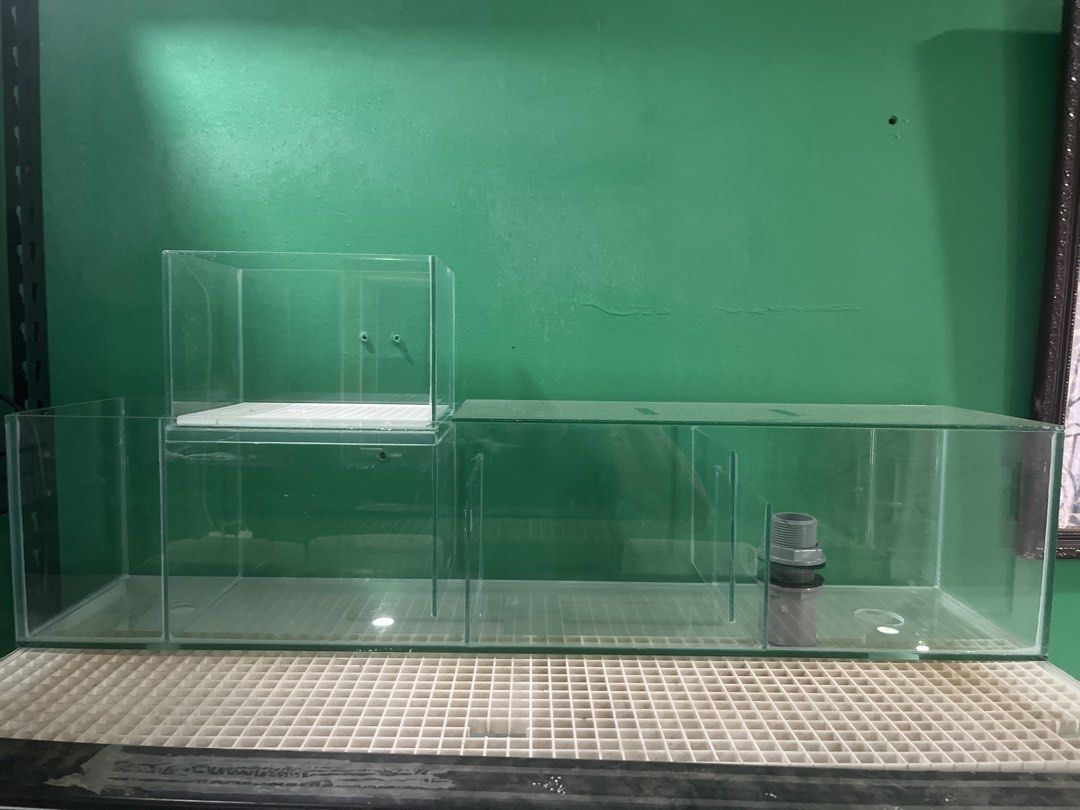 Custom Acrylic Aquarium Sump, Pet Supplies, Homes & Other Pet ...
