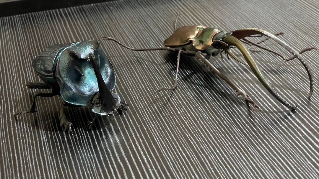 Gashapon Beetle 2-pack, Hobbies & Toys, Toys & Games on Carousell
